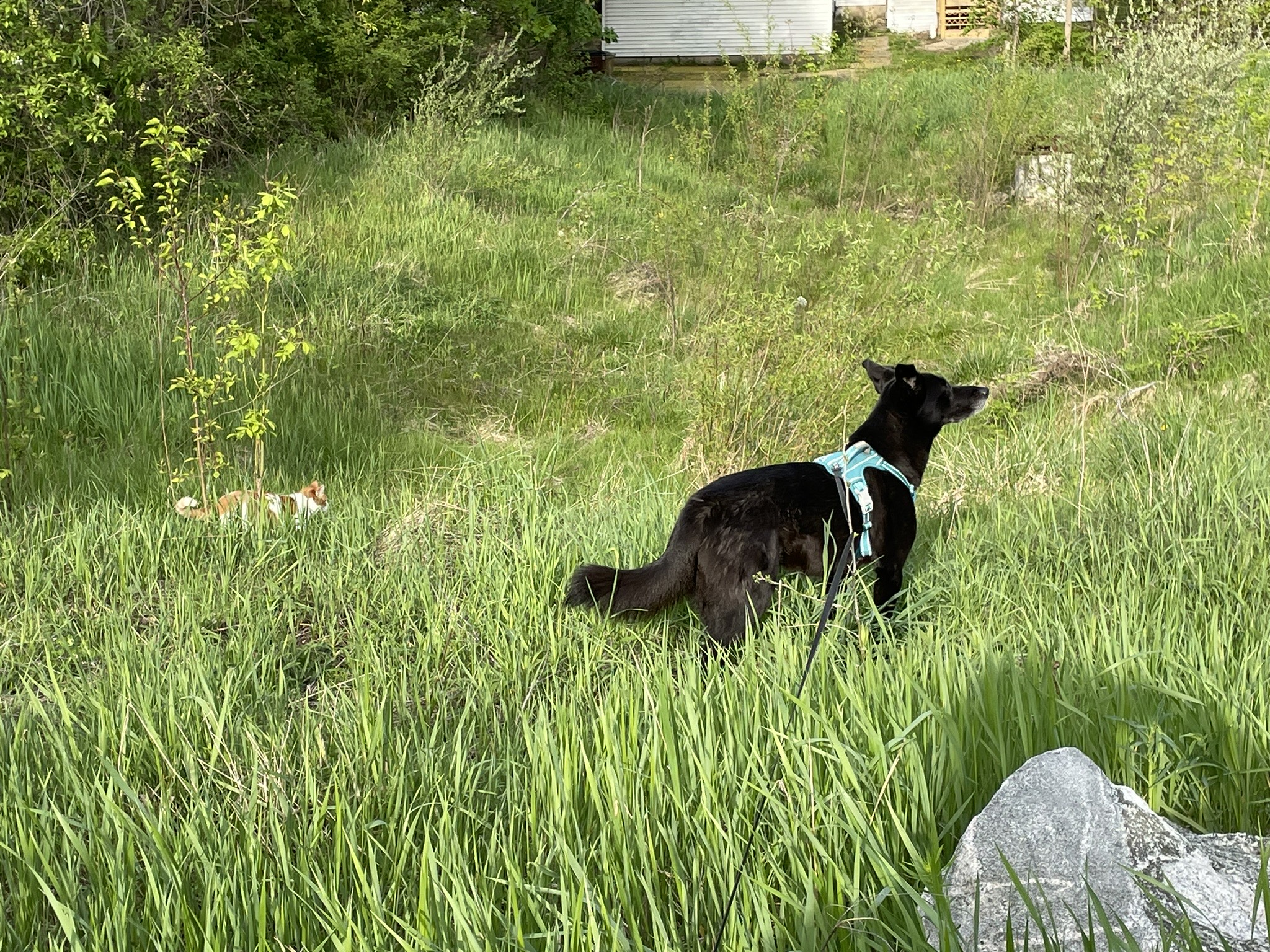 The Fight For Visibility: Courtney Gilbert's Story - Obesity Action ...